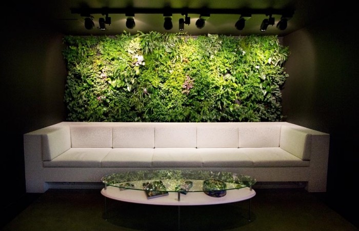 Indoor Vertical Gardens: Transforming Rooms with Plants and Moss