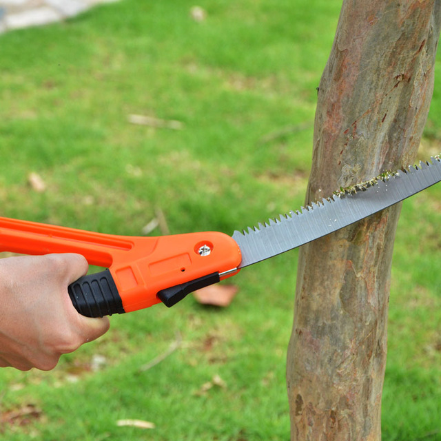 10 Essential Tools for Successful Gardening: Must-Have Items for Every ...