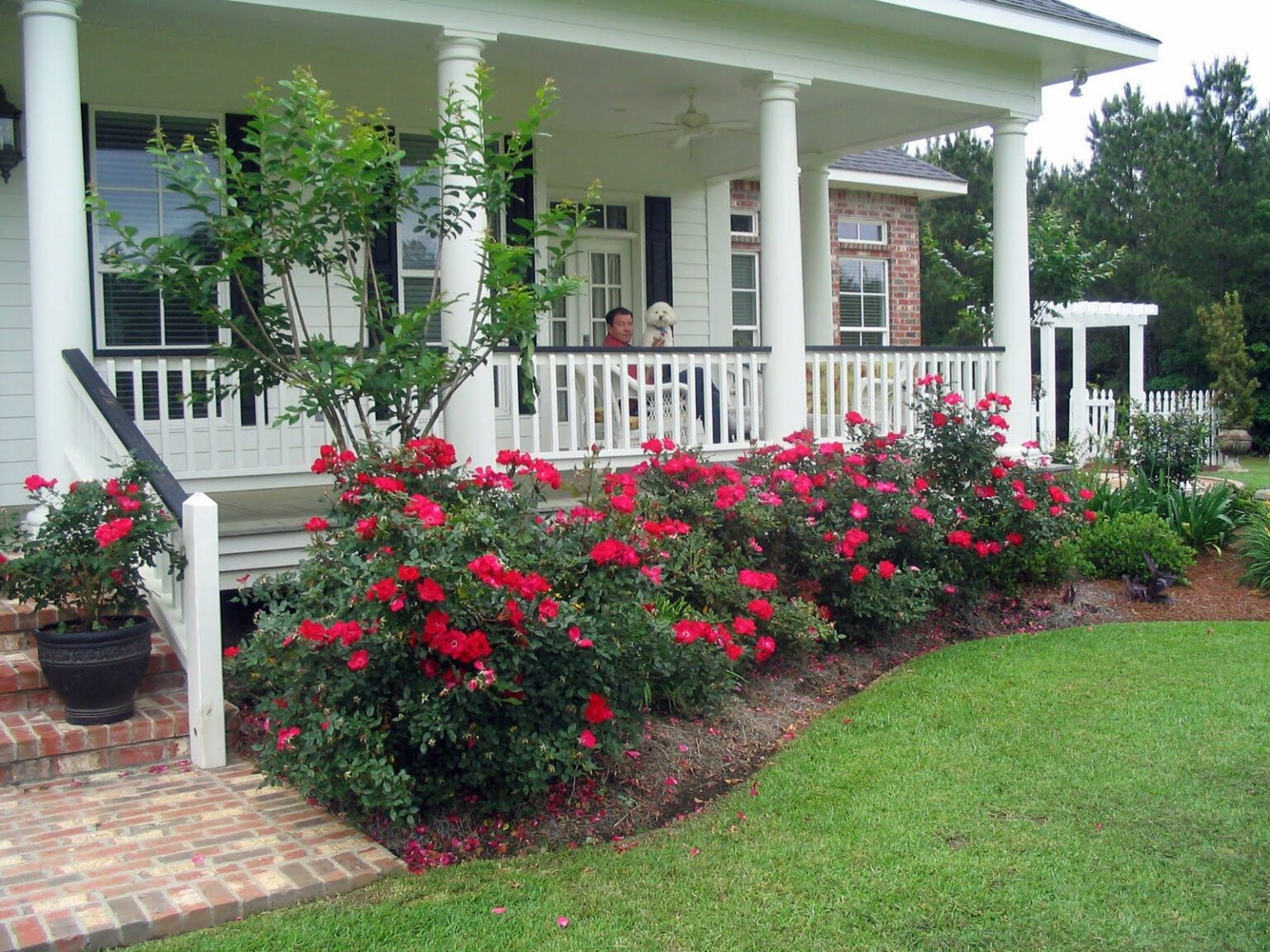 Creating Beautiful Gardens: Design, Aesthetics, and Benefits