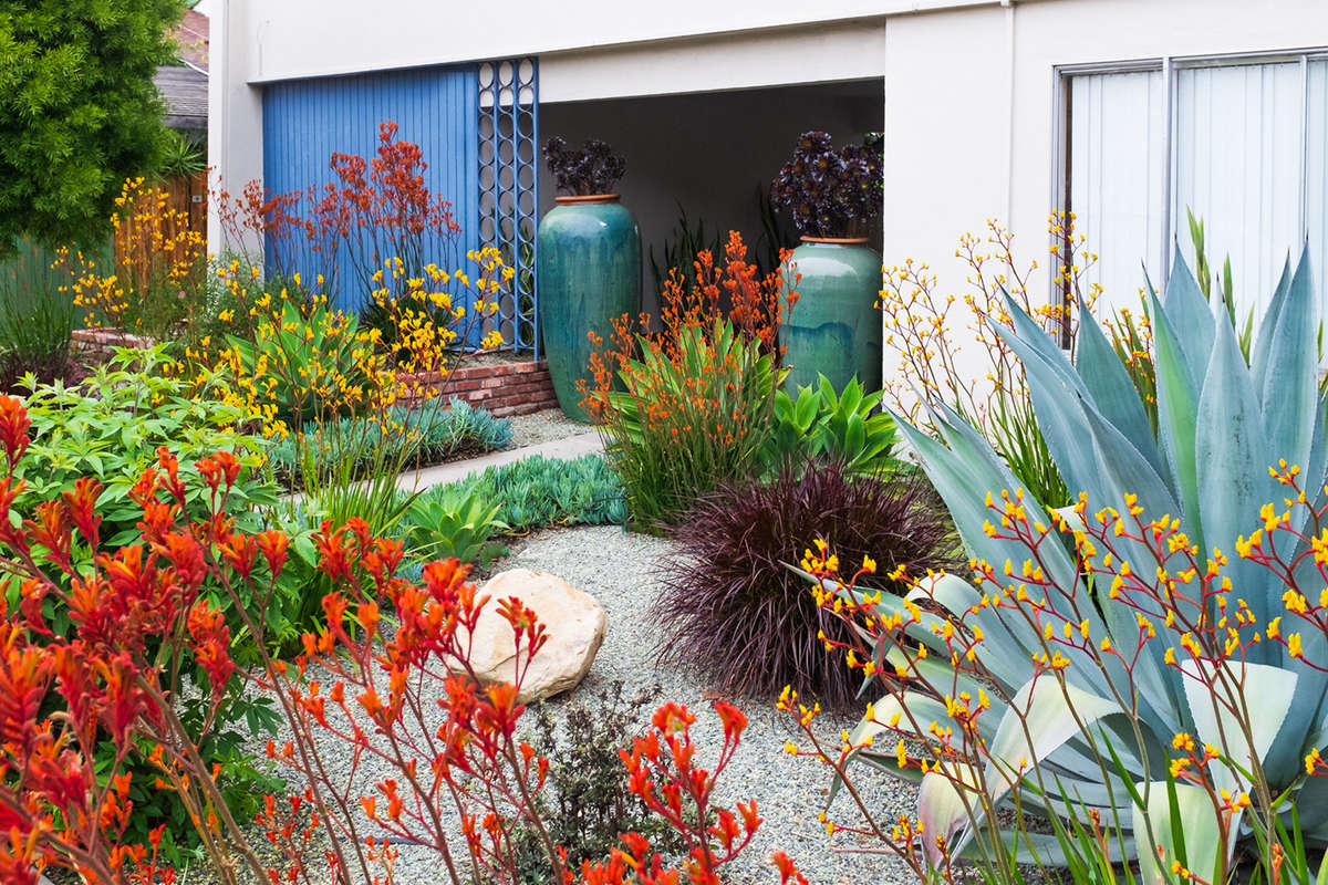 Low Maintenance Landscaping Tips: Create a Beautiful Yard with Minimal ...